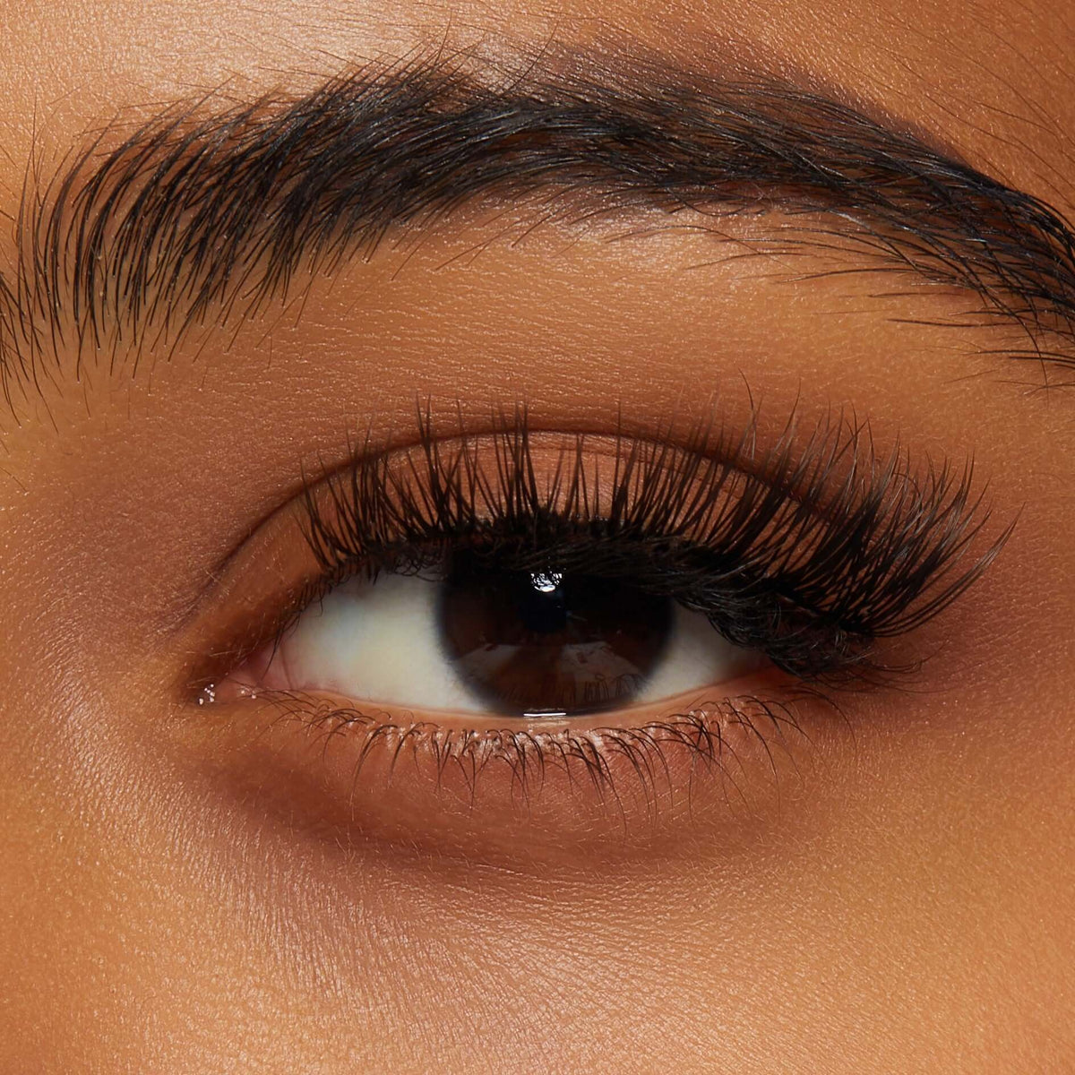 Iso-Tender Lashes TIDE - Create a Natural Looking False Lashes – Isopia ...